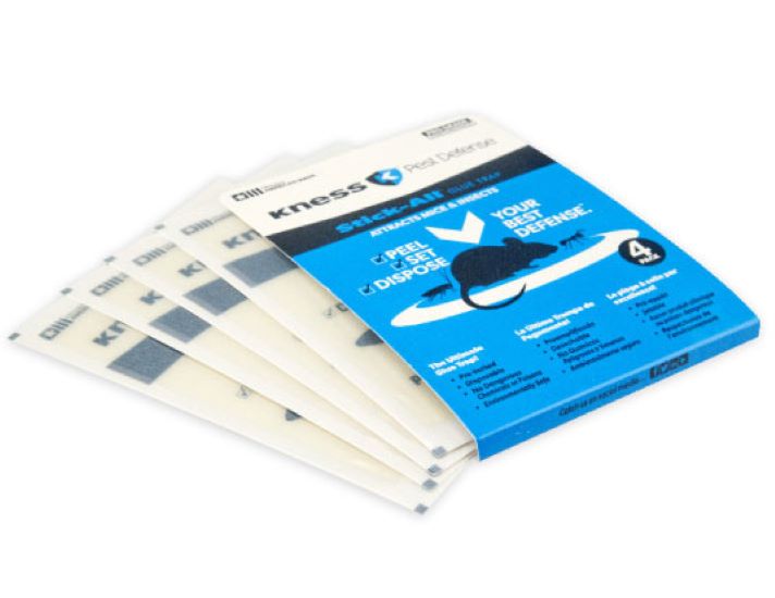 KNESS KETCH-ALL GLUE TRAPS - IFC